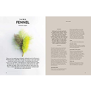 Root to Bloom: A Modern Guide to Whole Plant Use