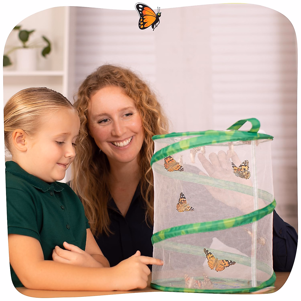 Insect Lore - Butterfly Growing Kit - With Voucher to Redeem Caterpillars Later