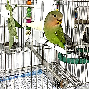 CHDHALTD Bird Food Holders, Parrot Fruit Vegetable Clips Bird Cage Feeder Clip for Budgie Parakeet Cockatoo Macaw Cage(Vegetable)