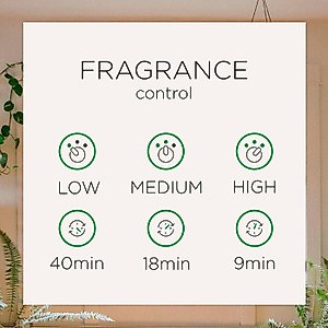 Air Wick Automatic Spray Starter Kit (Gadget + 2 Refills), Summer Delights, Essential Oils, Air Freshener, Odor Neutralization