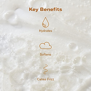 DAE Monsoon Moisture Milk Hydrating Shampoo - Hydrates, Calms Frizz, Softens, Helps Prevent Damage (10 oz)