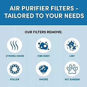 VEVA 9000 Premium HEPA Replacement Filter 2 Pack Including 4 Carbon Pre Filters Compatible with VEVA ProHEPA 9000 Air Purifier