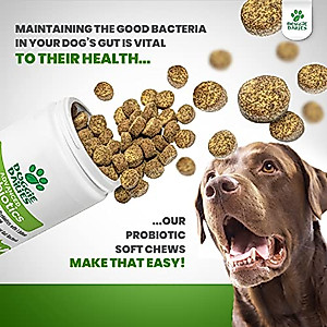Doggie Dailies Probiotics for Dogs, Advanced Dog Probiotics with Prebiotics, Promotes Digestive Health, Supports Immune System and Overall Health (Duck)