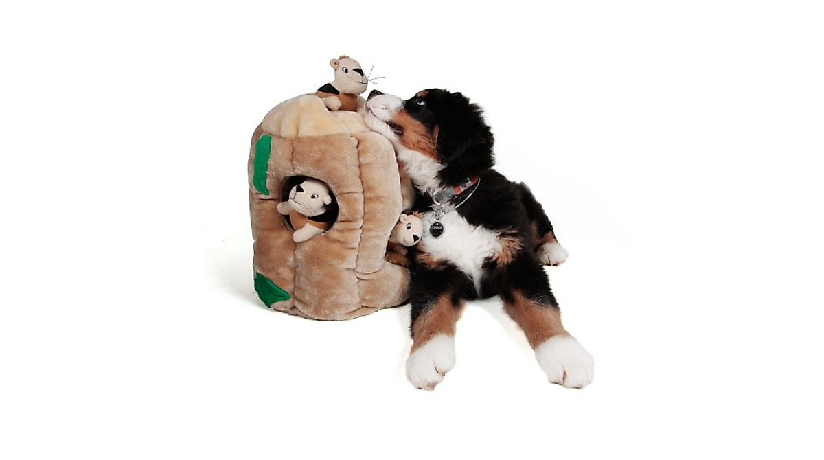 Kyjen Hide-A-Squirrel Toy | Engaging Dog Fun
