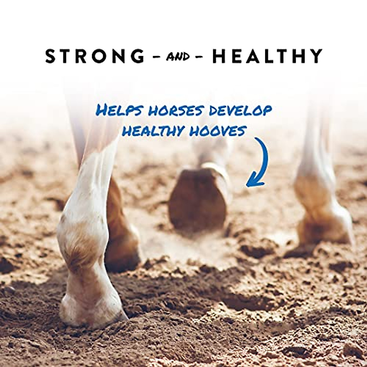Manna Pro Sho-Hoof Supplement for Horses | Biotin and Zinc Methionine for Healthy Hooves | 5 Pounds