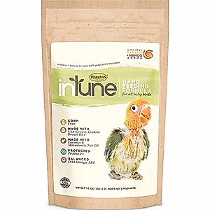 Higgins Intune Natural Hand Feeding Formula for All Baby Birds 10 Oz