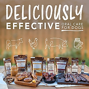 TropiClean Enticers Dog Teeth Cleaning Treat Gel | Beef Brisket Flavored Dog Toothpaste Alternative | 2 oz.