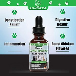 Natural Cat Constipation Relief :: Cat Laxative :: Cat Laxative Constipation Relief :: Constipation Relief for Cats :: Constipation Relief for Cat :: Cat Constipation :: 1 fl oz :: Chicken Flavor