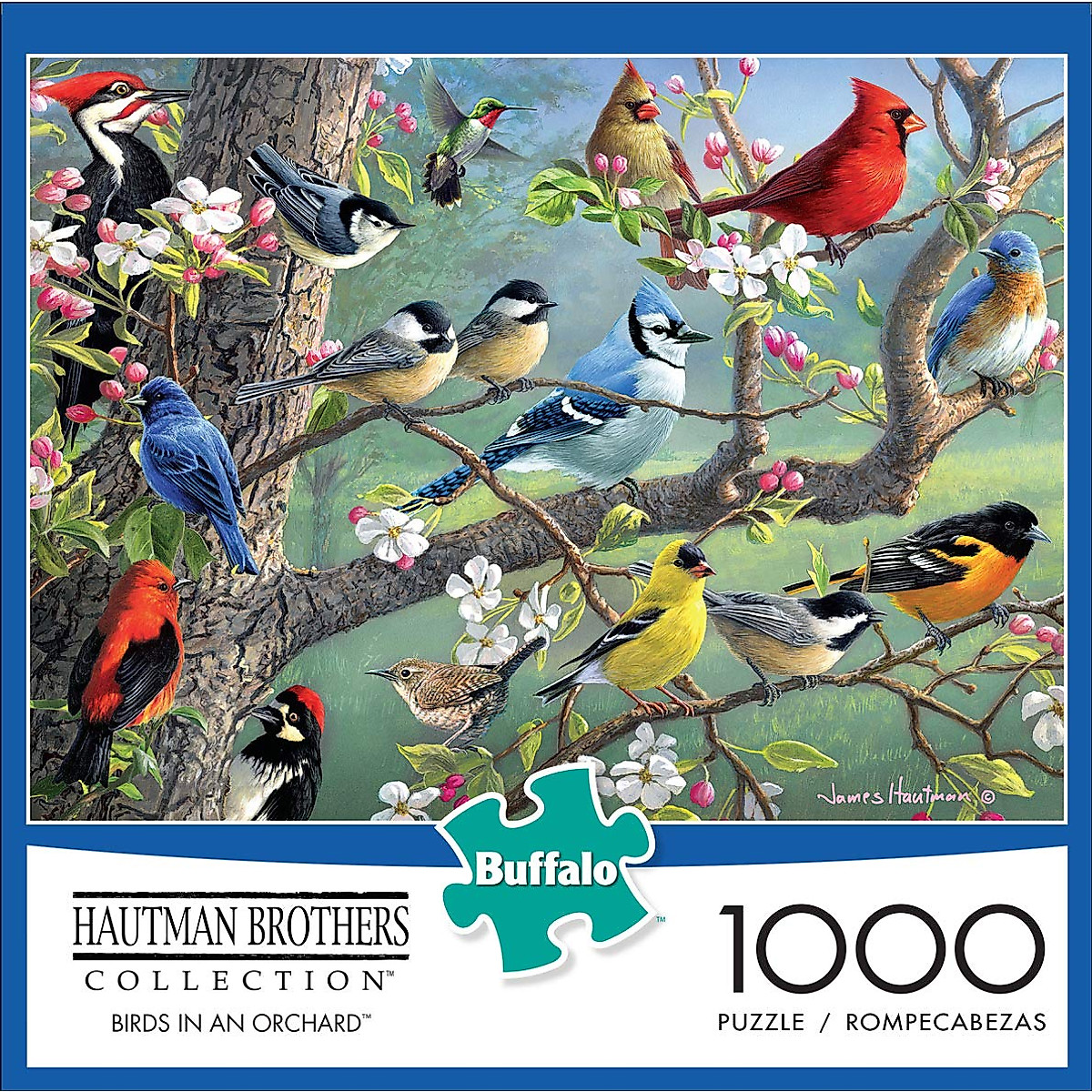Buffalo Games - Hautman Brothers - Birds in an Orchard - 1000 Piece Jigsaw Puzzle