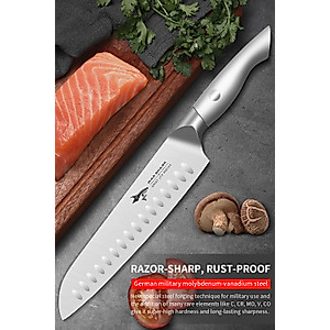MAD SHARK Premium Santoku Knife 8 Inch, High-end Professional Best Sharp Kitchen Knife, German Stainless Steel, japanese Chef Knife, sushi knife, chef's knives, Cutting Knives - Silver
