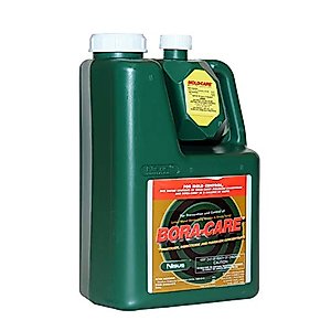 Bora-Care with Mold-Care - 1 jug (1 Gallon)