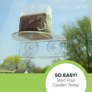 Window Garden Veg Ledge - Window Shelf for Plants, Clear Acrylic Shelves - Suction Cup Indoor Plant Holder - Glass Window Sill Extender for Microgreens Kit, Seed Starter Pots, Planters (1 Pack)