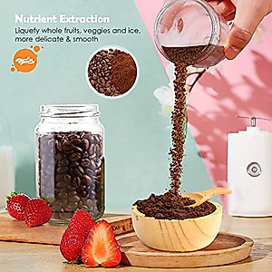 ZUUKOO KITCHEN Personal Countertop Blender,1100W Professional Blender with Contra-rotating Double Blades for Frozen Drinks,Coffee Grinder,Green & Black Juice Blender,with 21oz Cup