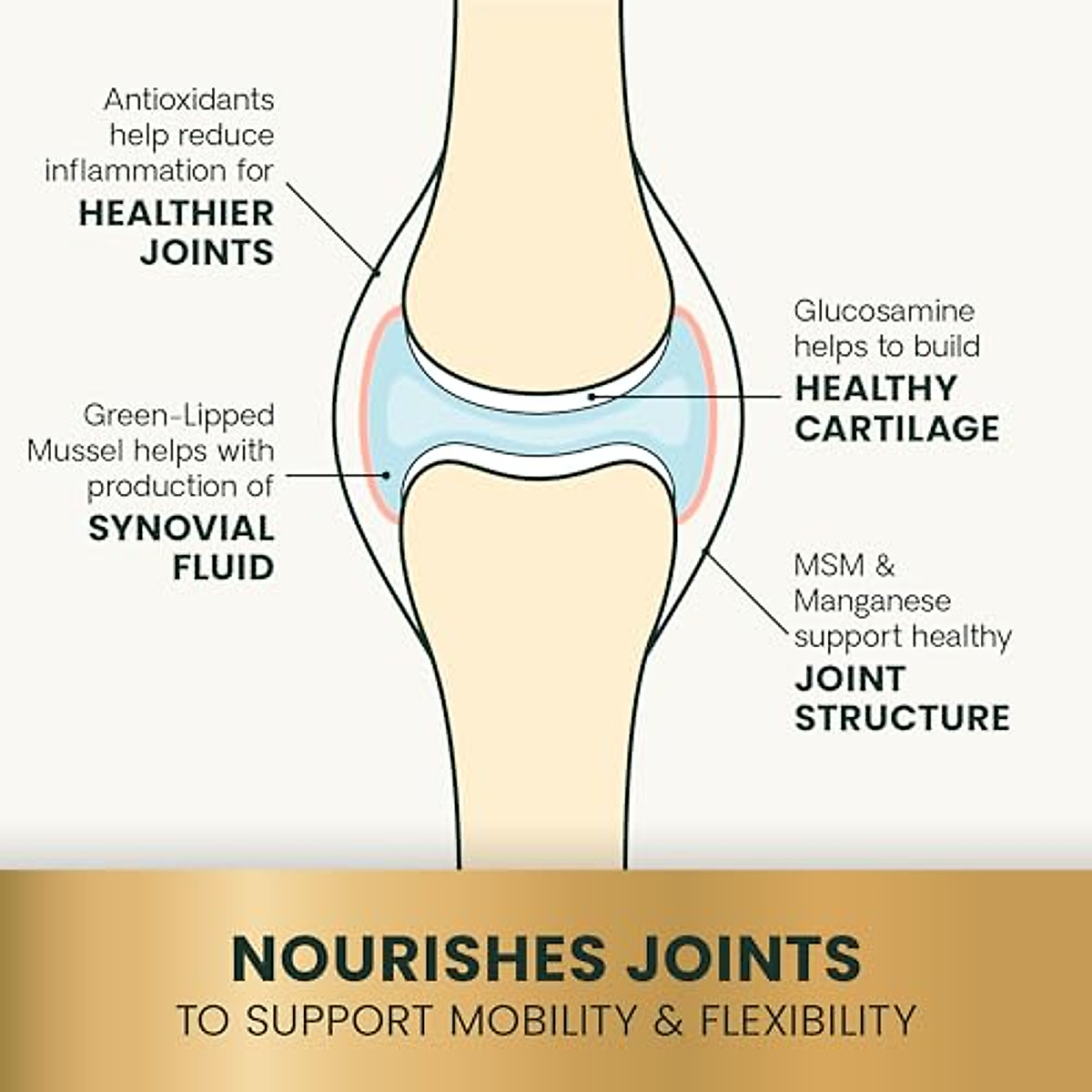 VetriScience Ultimate Strength Healthy Hip & Joint Chews, GlycoFlex Glucosamine, Chondroitin & Green-Lipped Mussel Joint Support Supplement for Dogs, Soothe Joint Discomfort, Duck, 60 Count