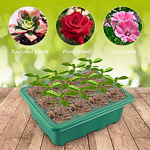 UNCLE.XIA 5 Pack Seed Trays Seedling Starter Tray Humidity Adjustable Plant Starting Kit with Dome and Base Greenhouse Grow Set Mini Propagator for Seeds Growing (60 Cells)