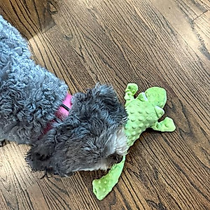 Ethical Pets 54093 Skinneeez Extreme Stuffing Free Dog Toy, 14", Frog, Green