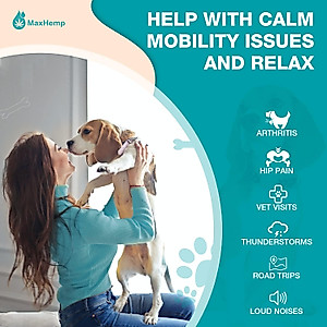 MaxHemp Dog Hip & Joint Care for Pet Oil-BOYIGENGXIN-42