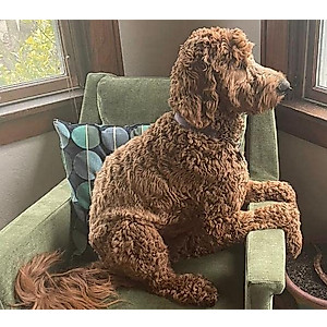 Pet Salve, Dog Paw Balm, Dry Noses Cracked Paws, Hot Spots, Itchy Ears, Lightly Scented with Lavender Essential Oil and Rosemary, Cruelty-Free, No Tea Tree Oil, Safe for Pets, Ora's Amazing Herbal 4oz