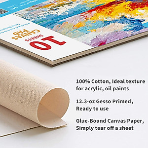 MEEDEN Acrylic Painting Set, Acrylic Paint Set with French Easel, 15x100ML Acrylic Paints, Paintbrushes, Stretched Canvases, Acrylic Painting Supplies,Easel Sets for Painting for Adults