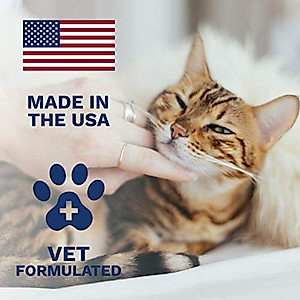 Under the Weather Anti-Diarrhea Liquid for Dogs and Cats - Soothe Your Pet's Upset Stomach and Provide Relief from Diarrhea - (4 oz Bottle) (for Cats (4Oz))