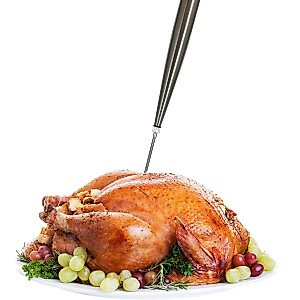 Home Servz 18/8 Stainless Steel Turkey Baster Syringe - Injector Needle With Cleaning Brush - Food Grade Silicone Bulb & Heavy Duty 12 Inch Stainless Steel Handle Silicone BBQ Basting Brush