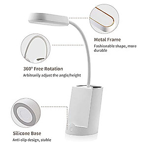 Ross Beauty LED Desk Lamp Eye-Caring Table Lamps, Dimmable Office Lamp with USB Charging Port, Touch Control, 3 Color Modes,3 Brightness Levels (Blue)