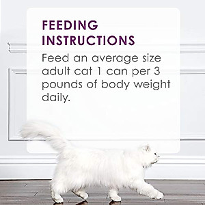 Purina Fancy Feast Savory Centers Pate Adult Wet Cat Food with Beef and a Gravy Center - (Pack of 24) 3 Oz. Cans