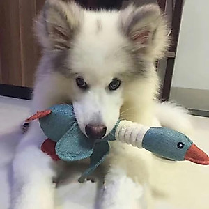 XIBANY Dog Toys Pet Mallard Duck Dog Toy for Aggressive Chewers Dog Squeaky Wild Goose Puzzle Training Toys Cute Soft Dog Chew Toy with Squeaker