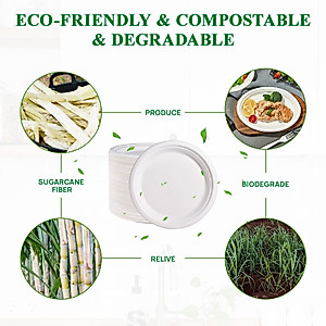 Vplus 150 Pack Paper Plates 9 inch 100% Compostable Plates Heavy-Duty Disposable Paper Plates Bagasse Natural Biodegradable Eco-Friendly Sugarcane Plates（White）