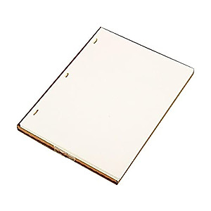 Wilson Jones Looseleaf Minute Book Ledger Sheets, Ivory, 11" x 8-1/2, 100 sheets/box (901-10)