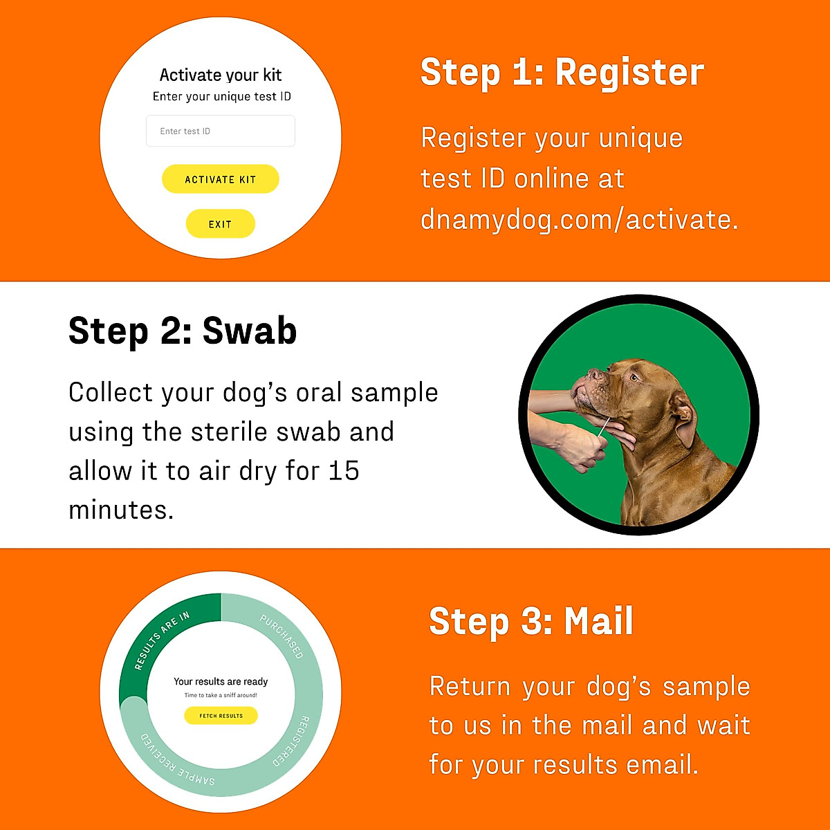 Dna My Dog Premium Test – Premium Breed ID Over 300 Breeds Plus Genetic Age Test, Wolf/Coyote DNA and Mixed Breed Identification, Non-Invasive Cheek Swab for Puppies to Adult Dogs