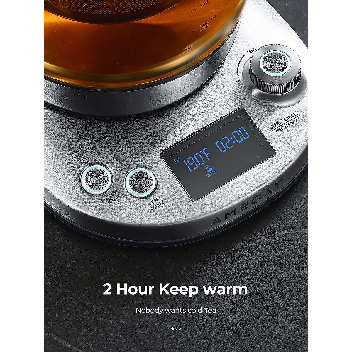 Tea Kettle Electric, AMEGAT Tea Pot with Removable Infuser, 9 Preset Brewing Programs Tea Maker with Temperature Control, 2 Hours Keep Warm, 1.7L Electric Kettles, 1200W, Glass and Stainless Steel