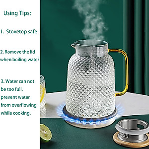 BPFY 1 Pack 60oz Glass Pitcher, Glass Pitcher with Lid and Spout, Glass Water Pitcher, Iced Tea Pitcher for Fridge, Glass Carafe for Cold or Hot Beverages,Glass Jug for Water, Sun Tea, Milk