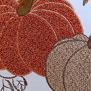 Homey COZY Harvest Thanksgiving Throw Pillow Pumpkin, 20"x20", Spice