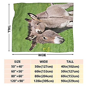 Animal Donkey Meadow Large Flannel Fleece Blanket Microfiber Blanket-Super Soft Warm Comfortable Blanket Camping Travel Chair Sofa Sofa Bed 80"x60"
