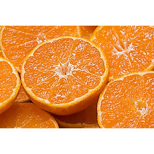 LOUISECON Seedless Citrus Orange Tree Seeds Delicious Navel Oranges 1-2 ft Indoor/Outdoor Fruit Tree Tasty and 30 Seedless