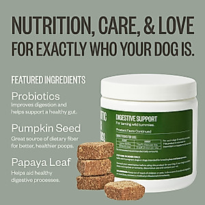 Ollie Belly Rubs Dog Probiotic Chews - Probiotics for Dogs and Ollie Zoomies Dog Hip and Joint Supplement - Glucosamine for Dogs