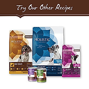 Holistic Select Natural Dry Dog Food, Lamb Meal Recipe, 30-Pound Bag