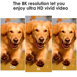 Bkzhcll 8K HDMI 2.1 Cable 10ft,Ultra HD High Speed 48Gpbs HDMI Cord,8K60 4K120 144Hz eARC HDR10 4:4:4 HDCP 2.2&2.3 DTS:X for PS4/PS5/Roku TV/Blu-ray/HDTV