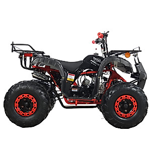 X-PRO 125cc ATV with Automatic Transmission w/Reverse, Big 19"/18" Tires! (Black, Factory Package)