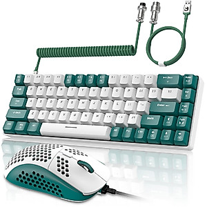 ZIYOU LANG RK-T8PR0 Wired 65% Mechanical Gaming Keyboard and Mouse Combo with RGB LED Backlit Anti-ghosting TKL Mini 68 Key Coiled C to A Cable Tactile Blue Switch for PS4 PS5 Xbox PC Mac Gamer(Green)