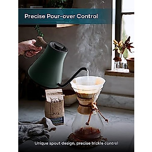 Electric Kettles, INTASTING Gooseneck Electric Kettle, ±1℉ Temperature Control, Stainless Steel Inner, Quick Heating, for Pour Over Coffee, Brew Tea, Boil Hot Water, 0.9L Green