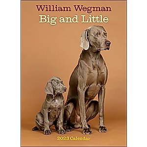 William Wegman Big and Little 2023 Wall Calendar