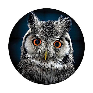 Owl Trendy Cute Animal Face Night Birds lovers PopSockets PopGrip: Swappable Grip for Phones & Tablets