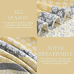 DDUOXIN Floral Quilts Queen Size - 100% Cotton Reversible Queen Quilt with 2 Pillow Shams, Farmhouse Striped Bedspreads Lightweight Queen Quilt Bedding Set, Yellow Gray, Queen