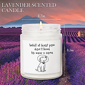 Get Well Soon Gifts for Women Men, Get Well Gifts for Women After Surgery, at Least You Don't Have to Wear A Cone Lavender Scented Candle for Home Decor, Surgery Recovery Gifts for Friends