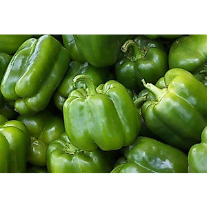 60 Cal Wonder Bell Pepper Seeds for Planting. 1/2 Gram of Seeds Heirloom Non GMO Garden Vegetable Bulk Survival