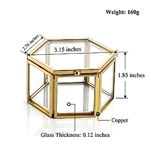 Jovivi Gold Copper Clear Glass Lid Terrarium Box/Bracelet Necklace Earrings Ring Jewelry Display Organizer Decorative Box Case Home Office Decor