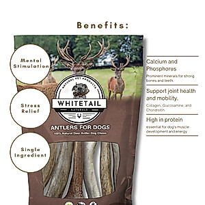 WhiteTail Naturals - Deer Antlers for X-Large Dogs (2 Pack- Jumbo XXL) All Natural Antler Dog Chew - Naturally Shed, Long Lasting Chew Bone for Big Agressive Chewers