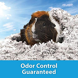 Kaytee Clean & Cozy White Bedding Pet For Guinea Pigs, Rabbits, Hamsters, Gerbils, and Chinchillas, 49.2 Liters